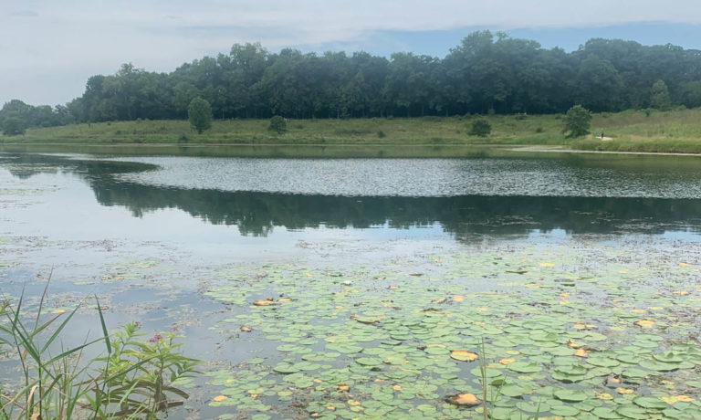 Best Kid-Friendly Hiking Trails Near Chicago - Chicago Parent