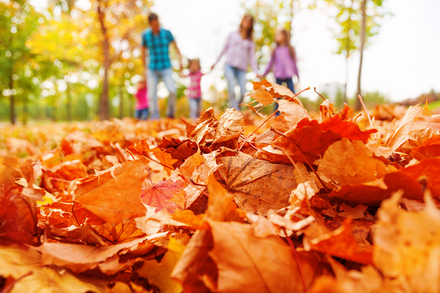 Free Kid Friendly Events In Chicagoland Chicago Parent