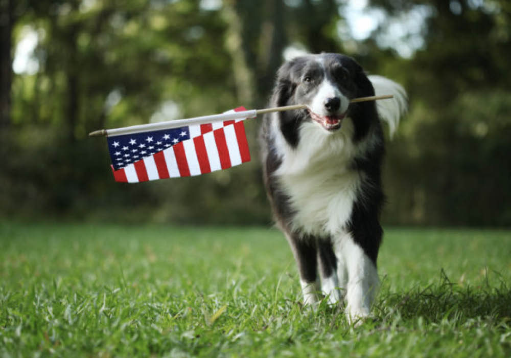 Labor Day Guide for Chicago Families - Chicago Parent