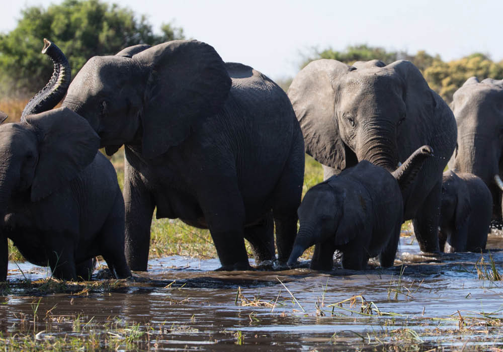 9 Digital Resources to Help Your Kids Learn About The Environment ...