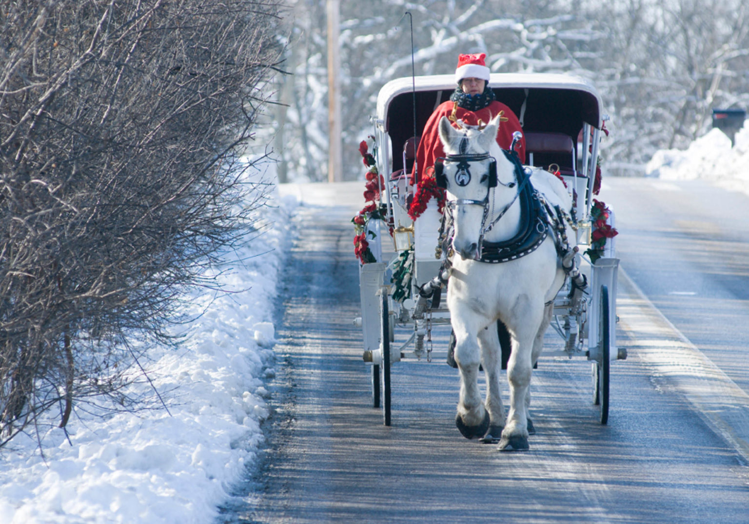 6 most magical sleigh and carriage rides near Chicago - Chicago Parent