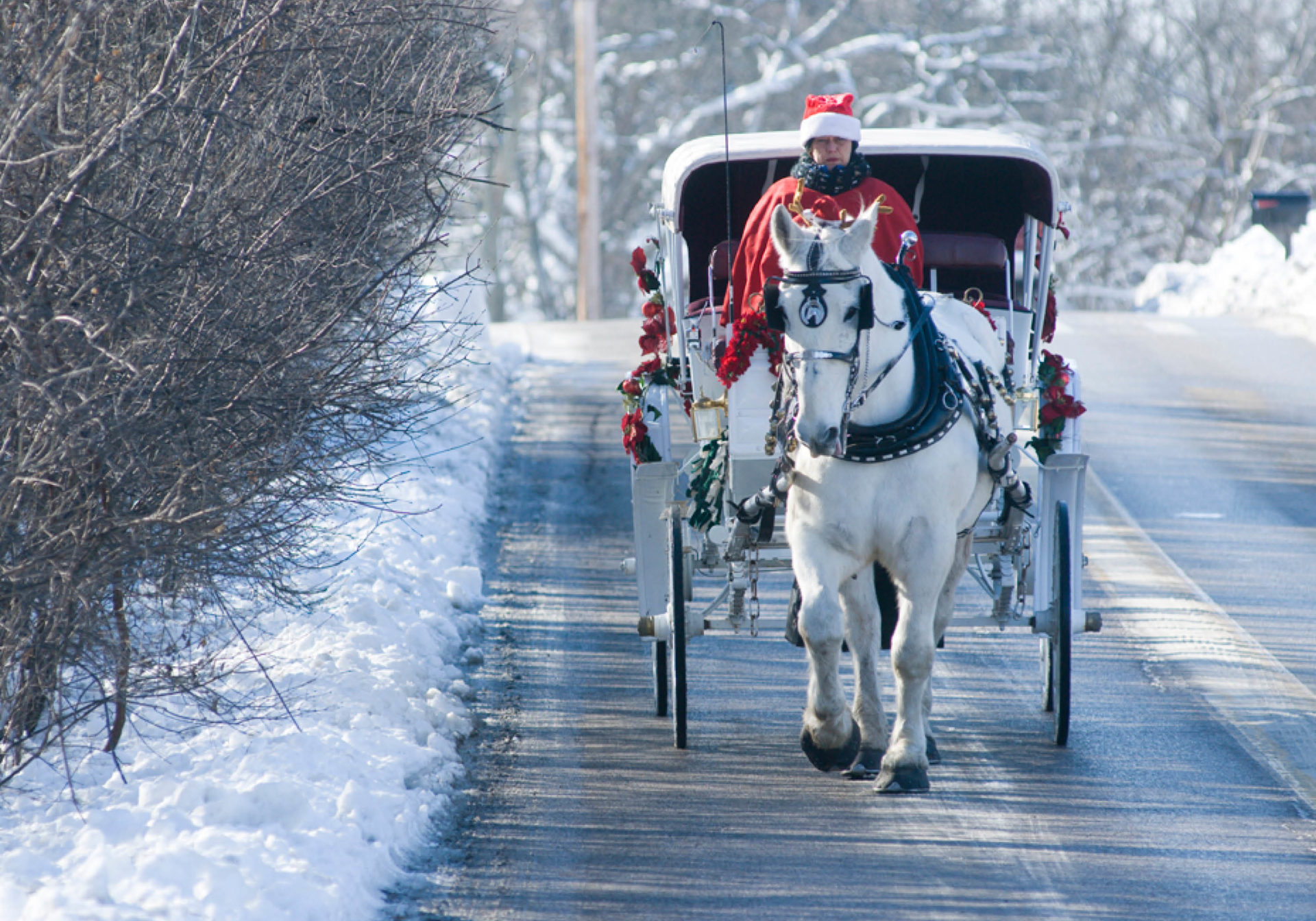6 most magical sleigh and carriage rides near Chicago - Chicago Parent