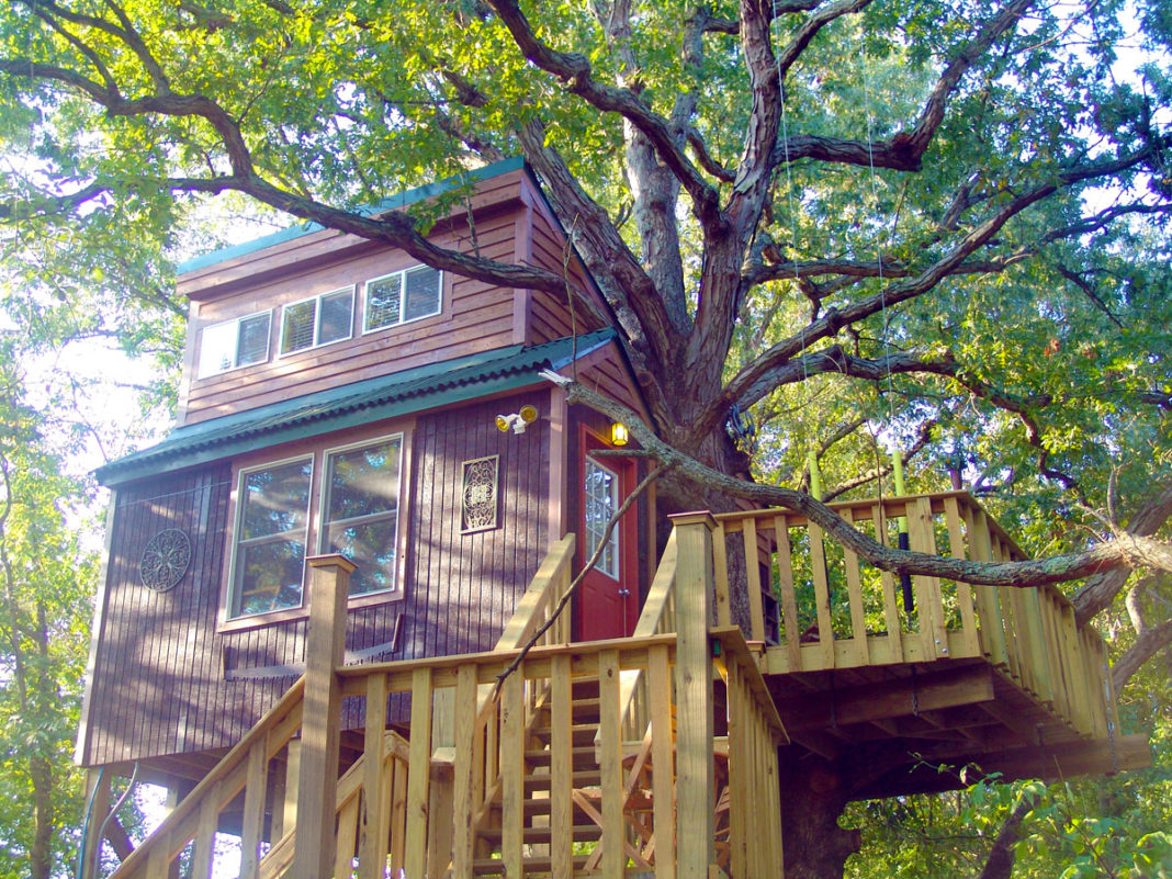 Camp in a real tree house in southern Illinois - Chicago Parent