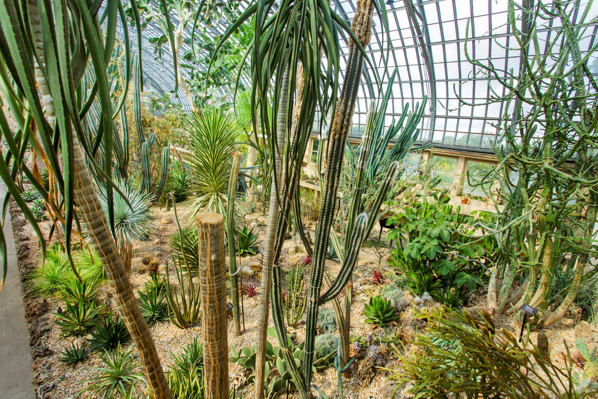 Chicagoland’s Hidden Indoor Nature Gems for Curious Kids - Chicago Parent