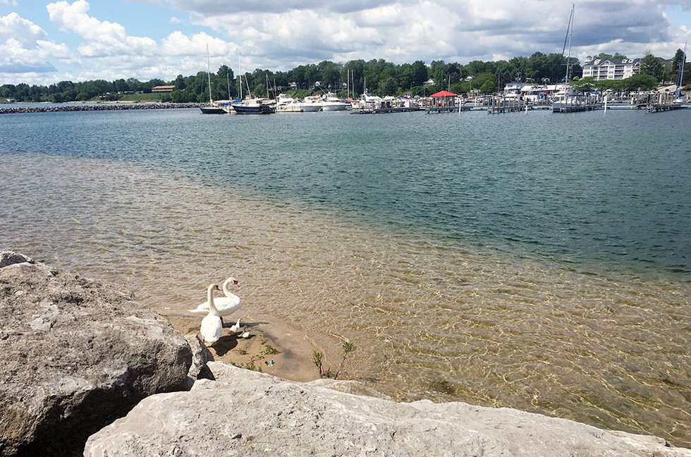 5 stops on Michigan’s Sunrise Coast - Chicago Parent