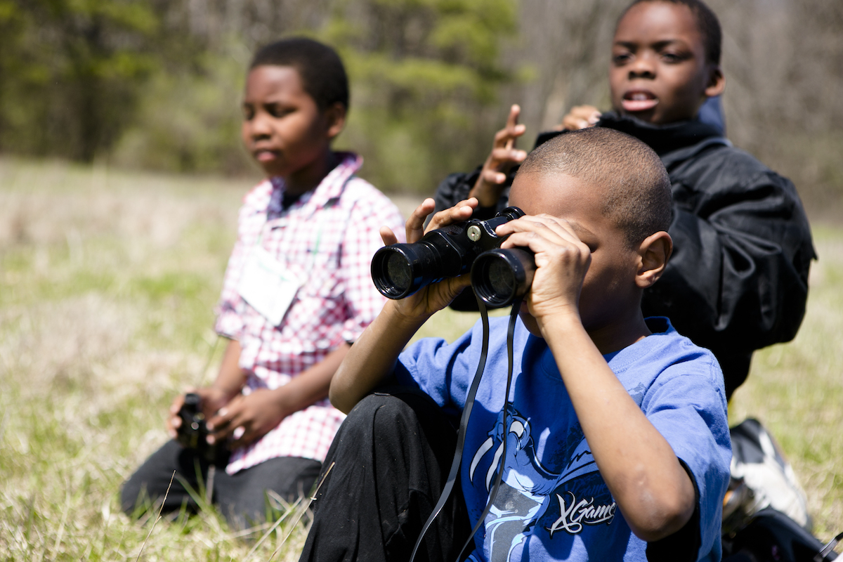 Why Wildlife Thrives in the Forest Preserves of Cook County - Chicago ...
