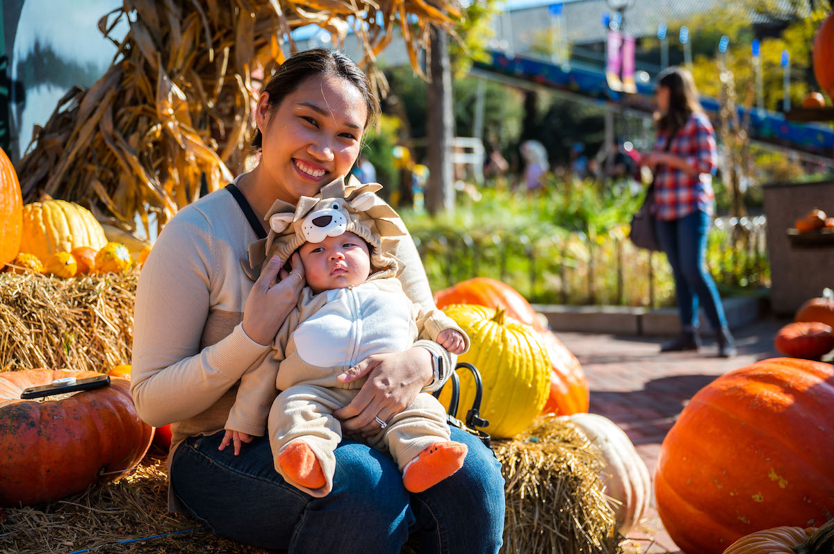 Lincoln Park Zoo Fall Fest - Chicago Parent