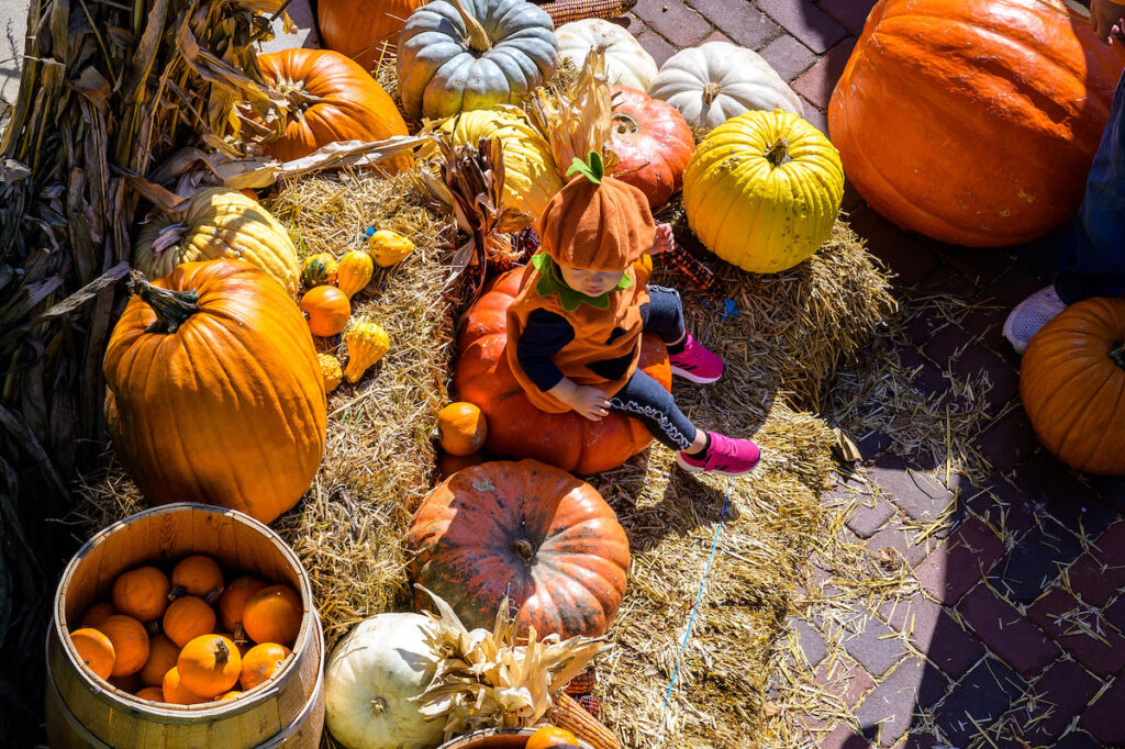 Lincoln Park Zoo Fall Fest - Chicago Parent