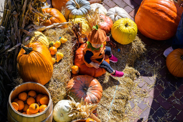 Lincoln Park Zoo Fall Fest - Chicago Parent