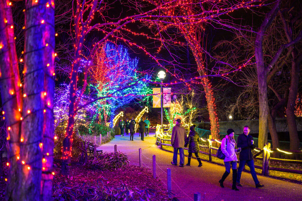 An Insider's Guide to ZooLights - Chicago Parent
