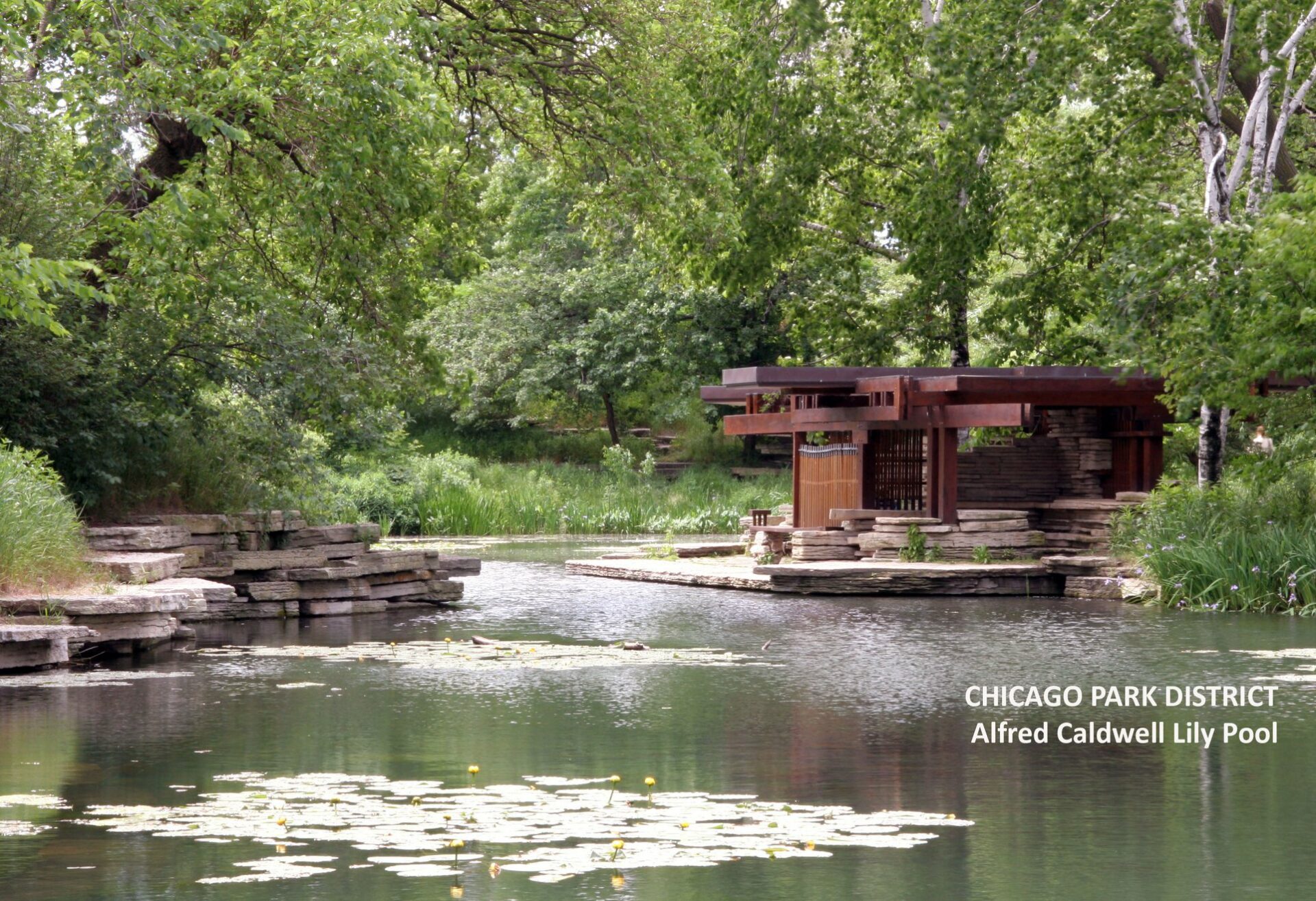 Beautiful Chicagoland Gardens to Visit with Kids - Chicago Parent