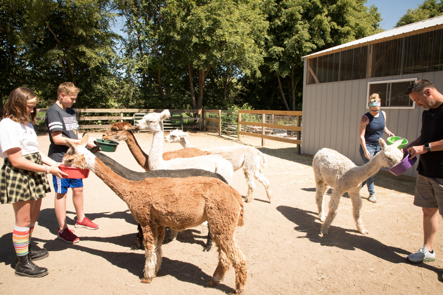 Best Local Farms to See Animals Near Chicagoland - Chicago Parent