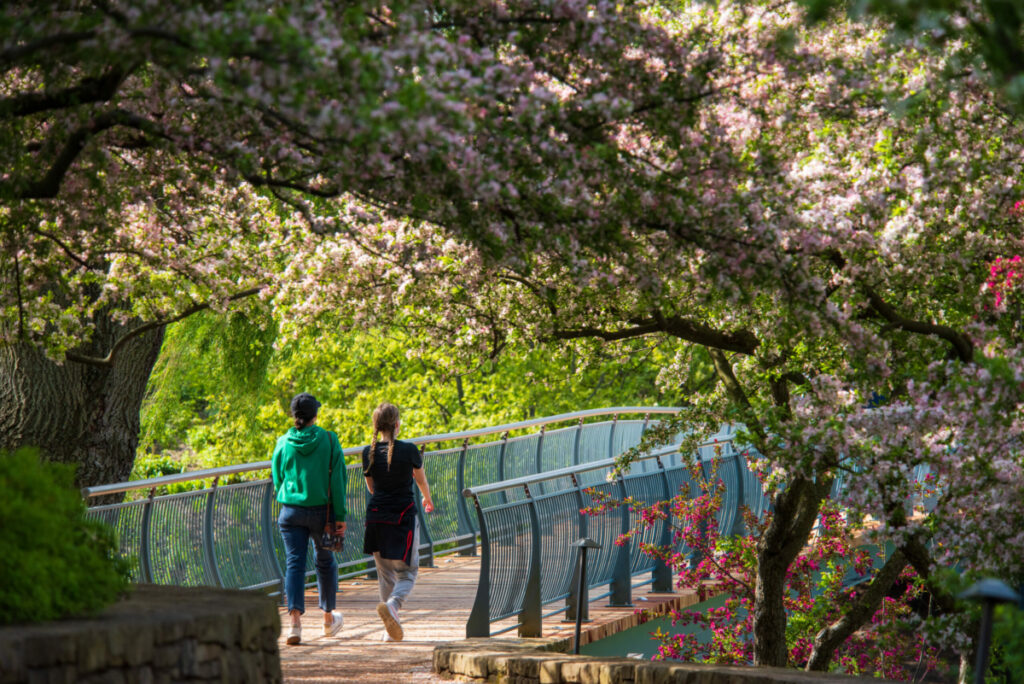 Family Guide to Chicago Botanic Garden - Chicago Parent