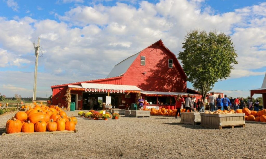 4 Reasons to Visit a Pick-Your-Own Farm in Illinois - Chicago Parent