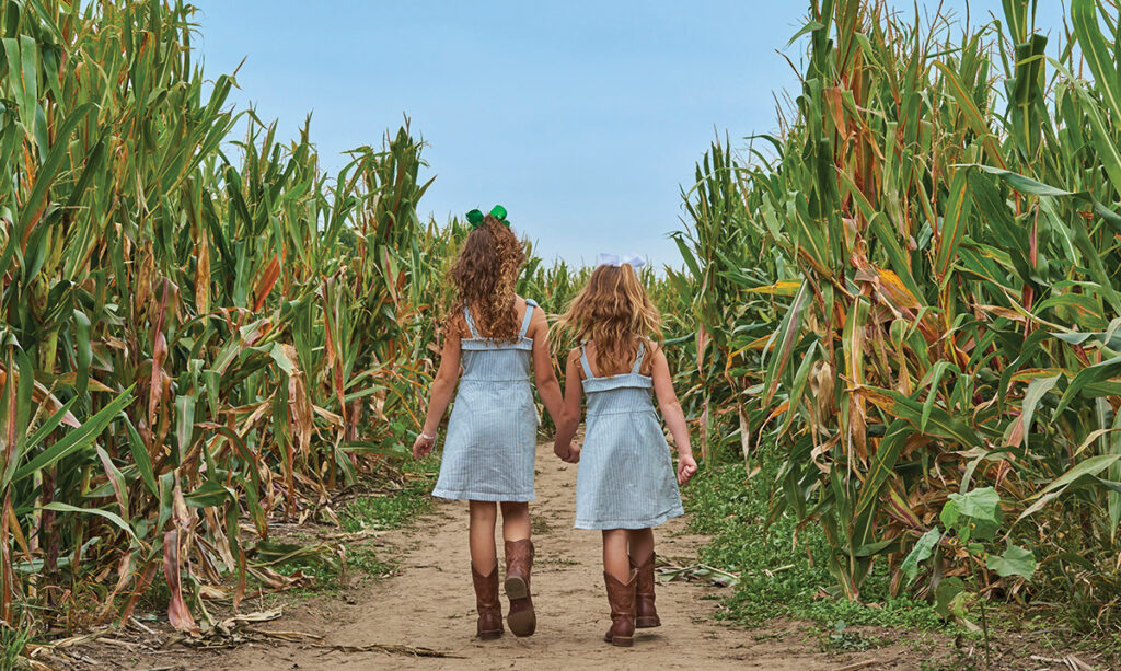 Where to Find Family Fall Farm Fun in Chicagoland - Chicago Parent