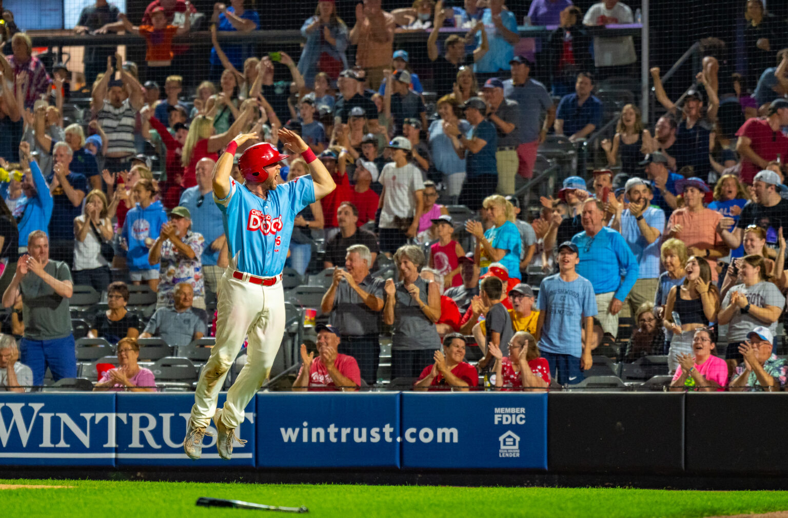 Best Minor League Baseball Teams Near Chicago for Families - Chicago Parent