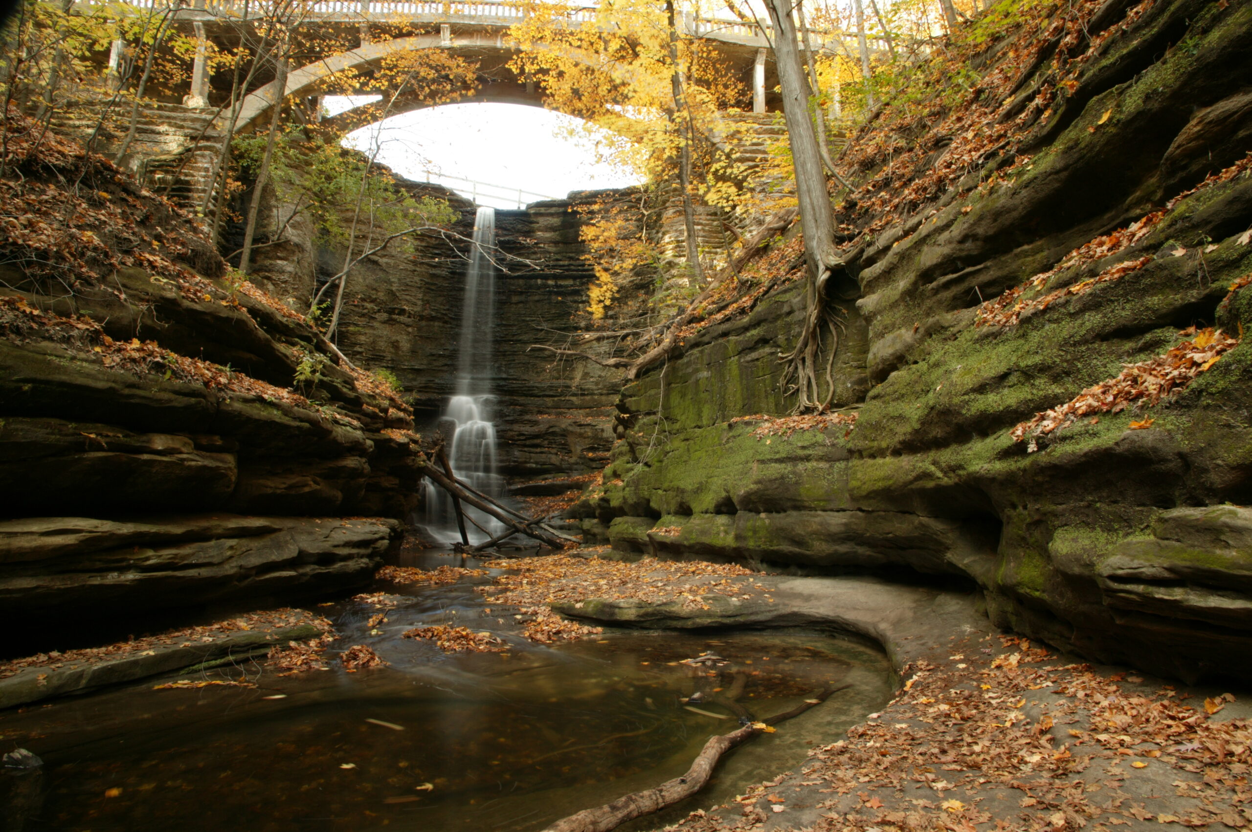 Illinois State Parks That Aren't Starved Rock - Chicago Parent