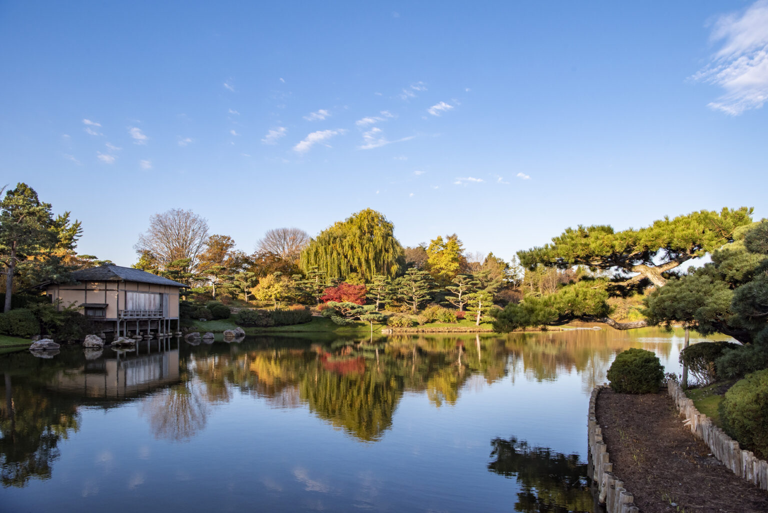 Where to see stunning Fall colors near Chicago with the family ...