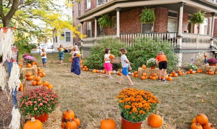 Top 2024 Fall Festivals in Chicagoland for Families - Chicago Parent