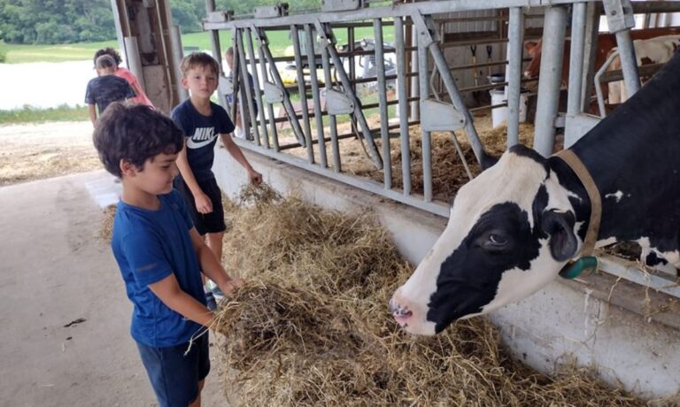 Best Local Farms to See Animals Near Chicagoland - Chicago Parent